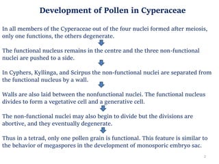 Pollen development in cyperaceae | PPTX