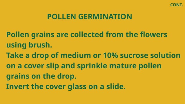 pollen germination medium preparation and process of pollen germination.pptx