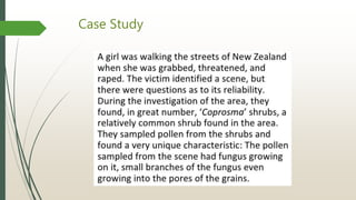 Pollen grains | PPTX