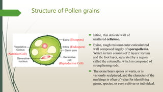 Pollen grains | PPTX