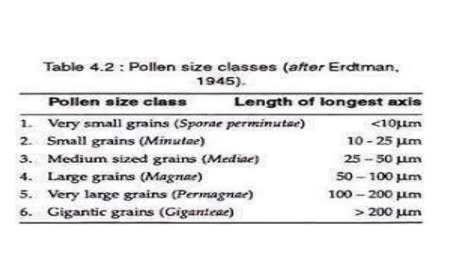 Pollen Grains.pptx