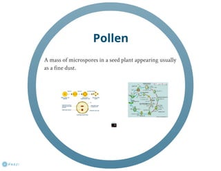 Pollen grains and climate | PPT