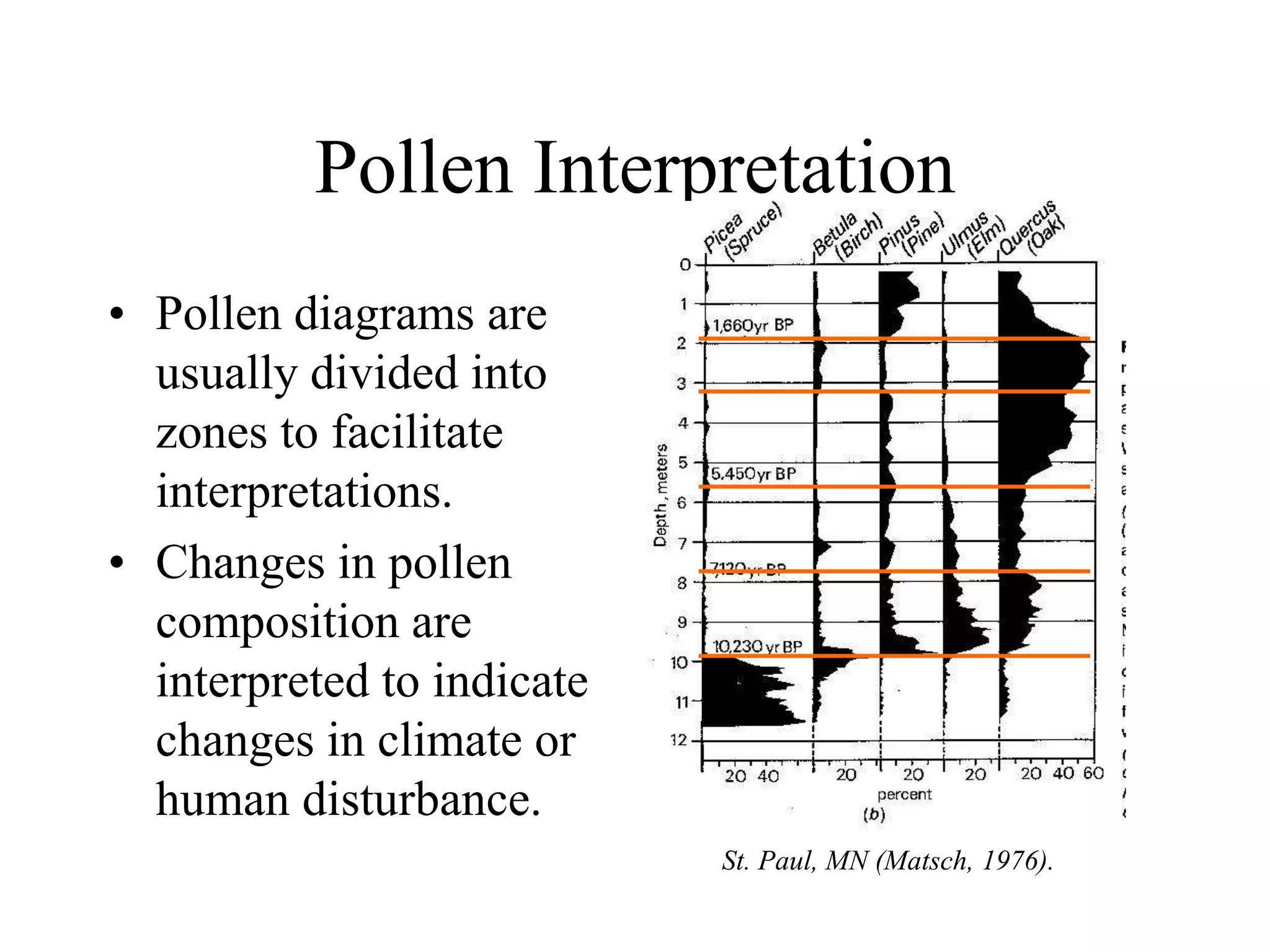 Pollen_Lecture_Final.ppt
