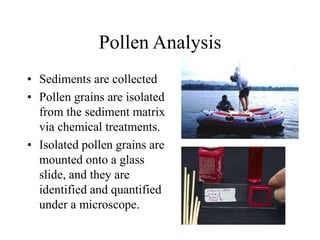 Pollen_Lecture_Final.ppt