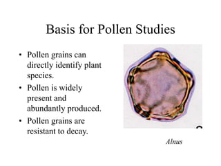 Pollen_Lecture_Final.ppt