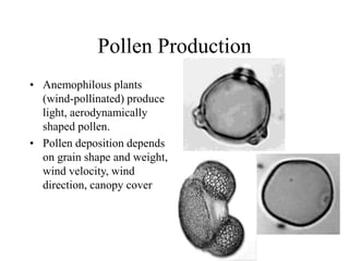 Pollen_Lecture_Final.ppt