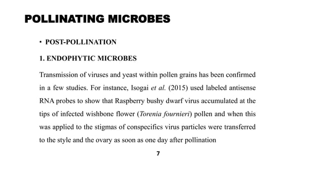 POLLEN MICROBES SLIDE.pptx