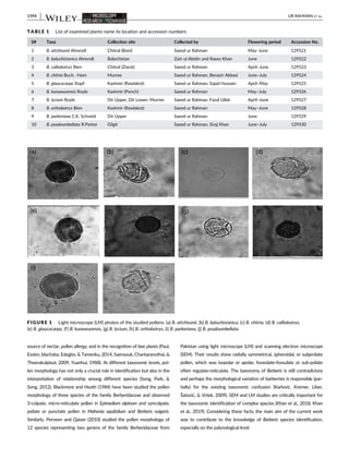 Pollen morphological variation of berberis l. from pakistan and its ...