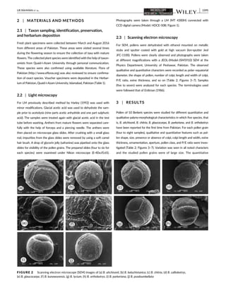Pollen morphological variation of berberis l. from pakistan and its ...
