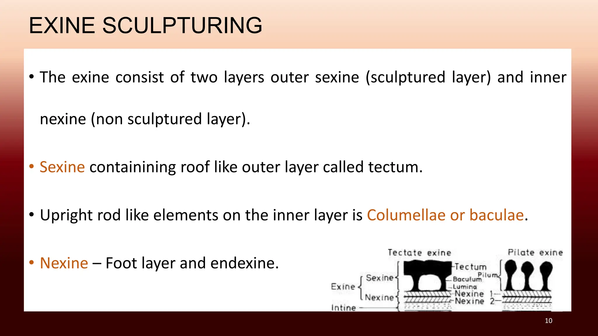 Pollen morphology, exine sculpturing, pollen kitt,NPC and ...