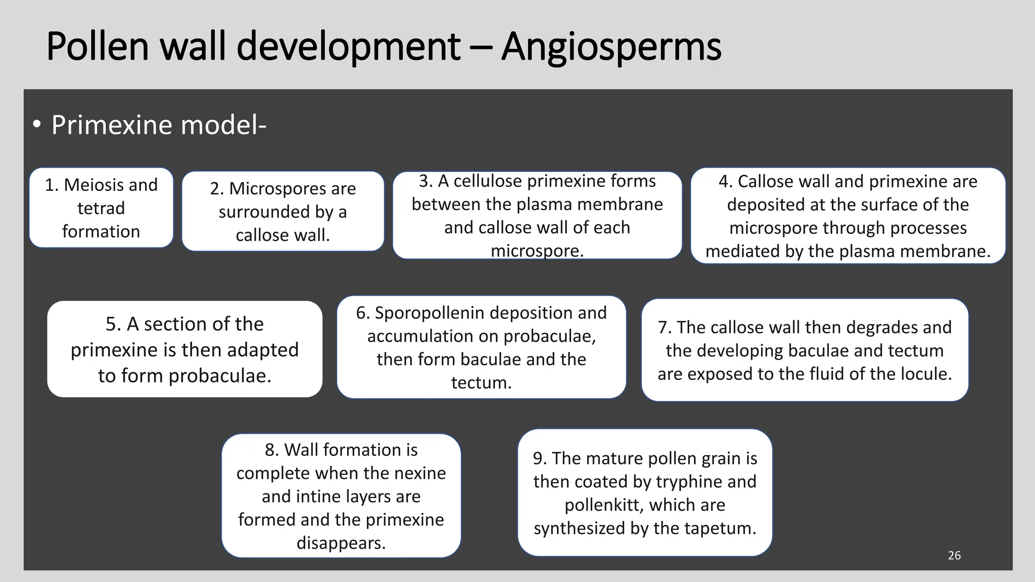 Pollen morphology, exine sculpturing, pollen kitt,NPC and ...