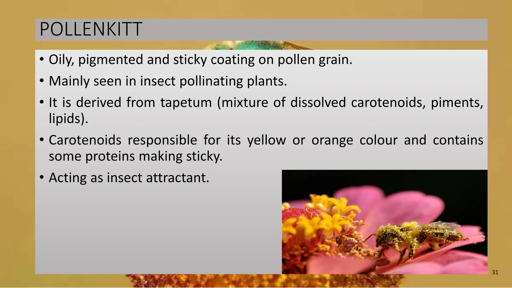Pollen morphology, exine sculpturing, pollen kitt,NPC and ...