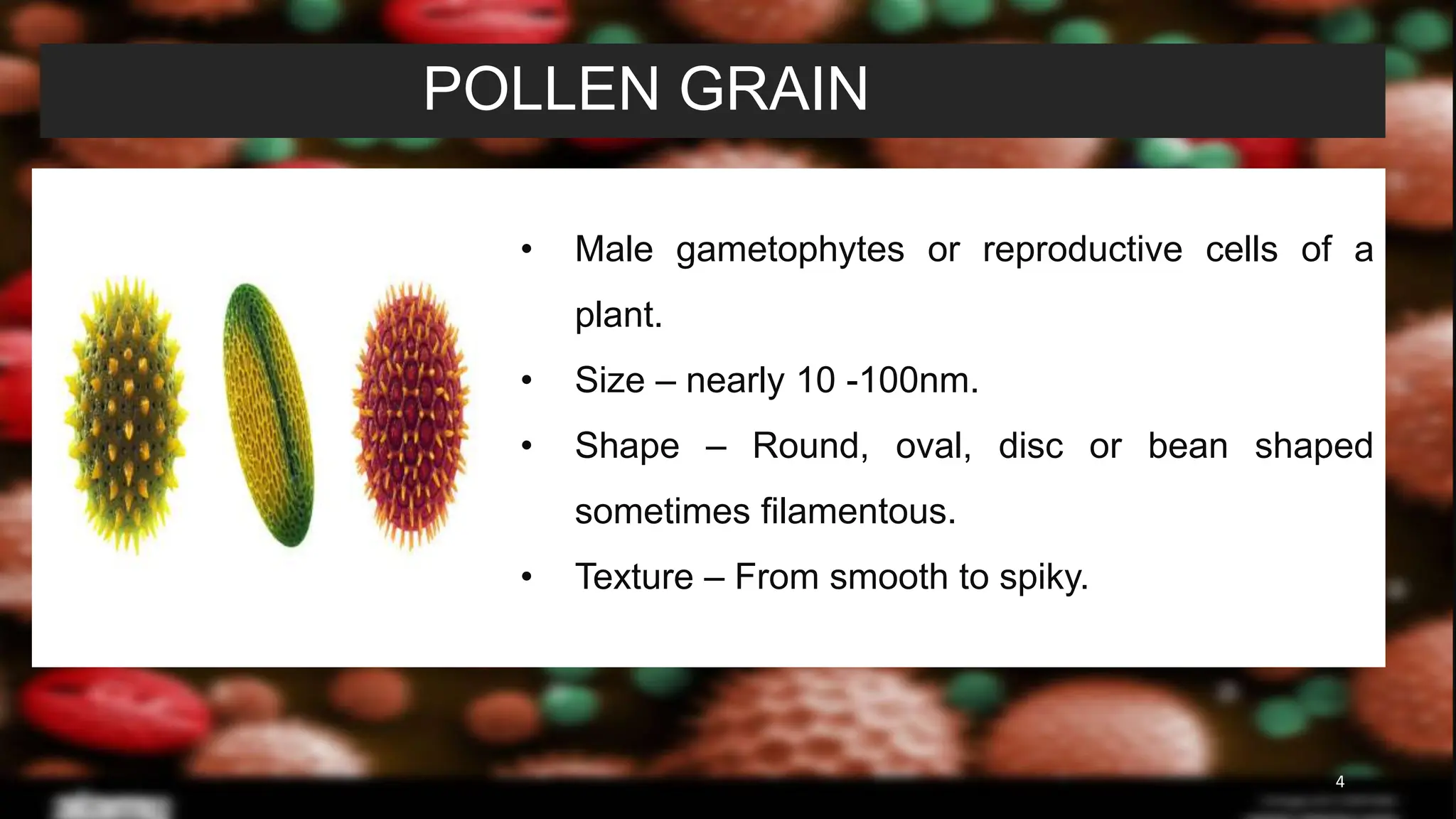 Pollen morphology, exine sculpturing, pollen kitt,NPC and ...