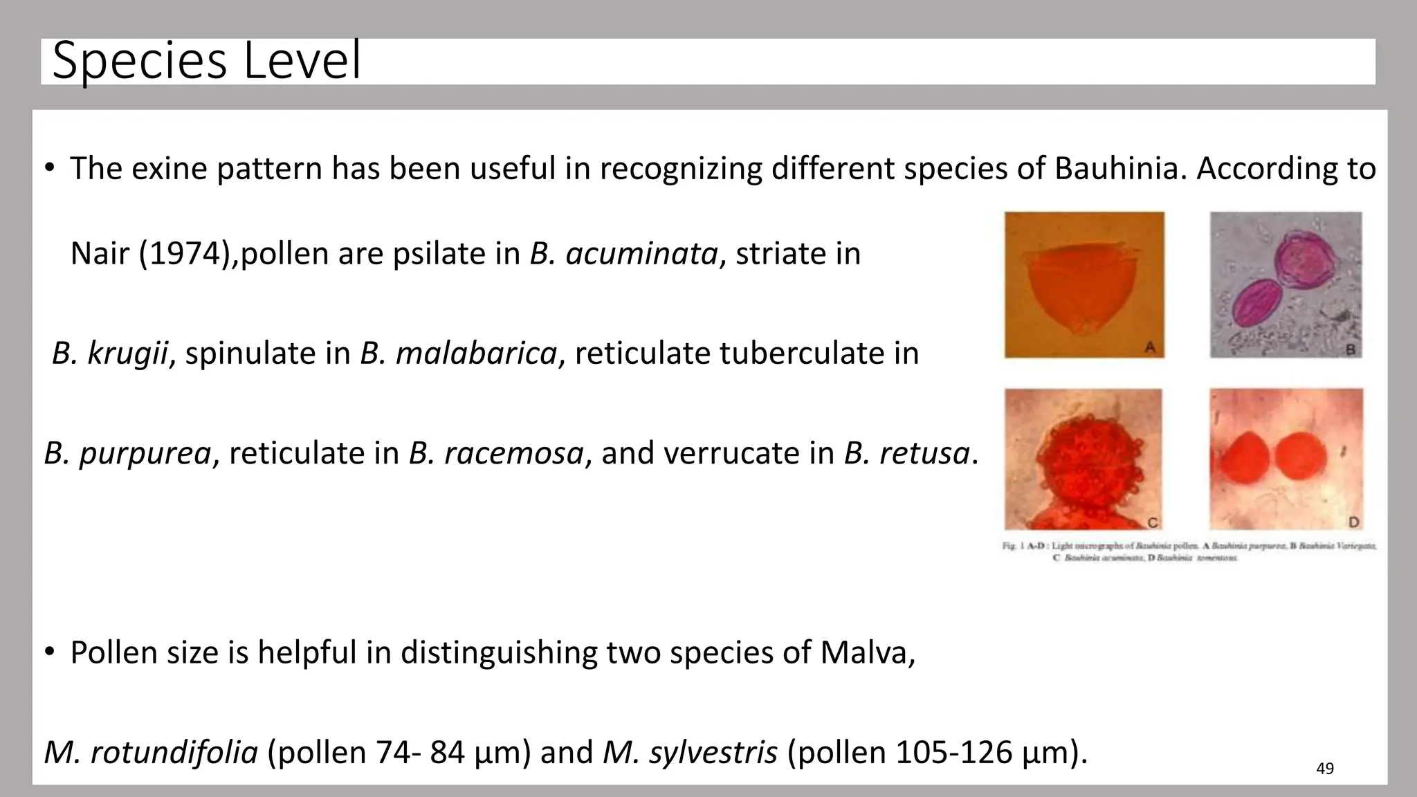 Pollen morphology, exine sculpturing, pollen kitt,NPC and ...