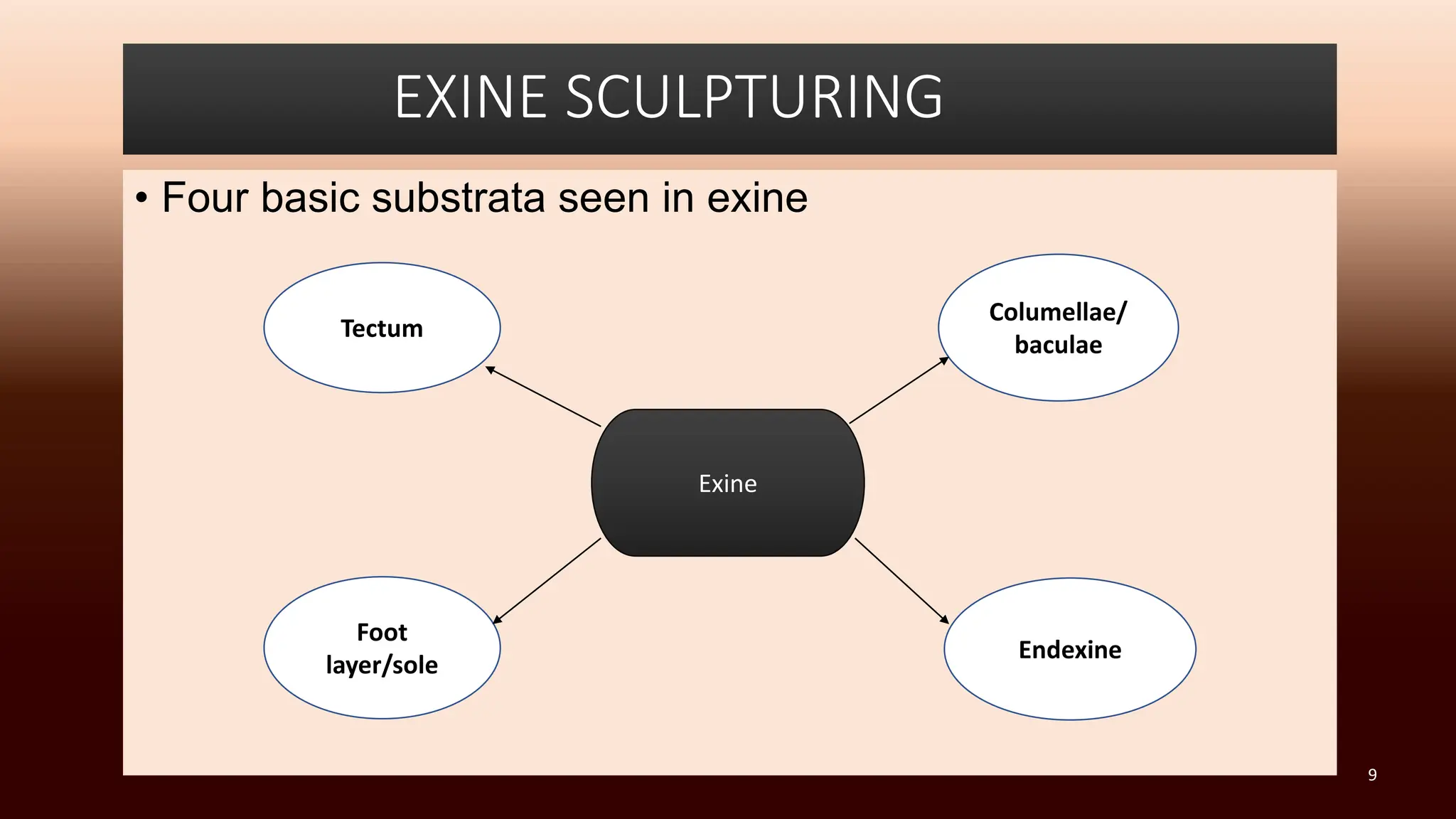 Pollen morphology, exine sculpturing, pollen kitt,NPC and ...