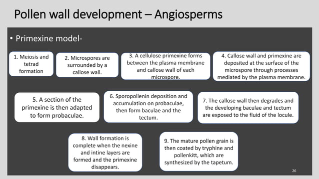 Pollen morphology, exine sculpturing, pollen kitt,NPC and ...