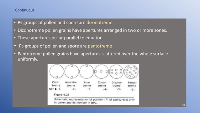 Pollen morphology, exine sculpturing, pollen kitt,NPC and ...