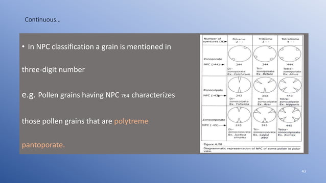 Pollen morphology, exine sculpturing, pollen kitt,NPC and ...