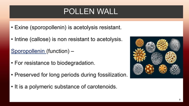 Pollen morphology, exine sculpturing, pollen kitt,NPC and ...