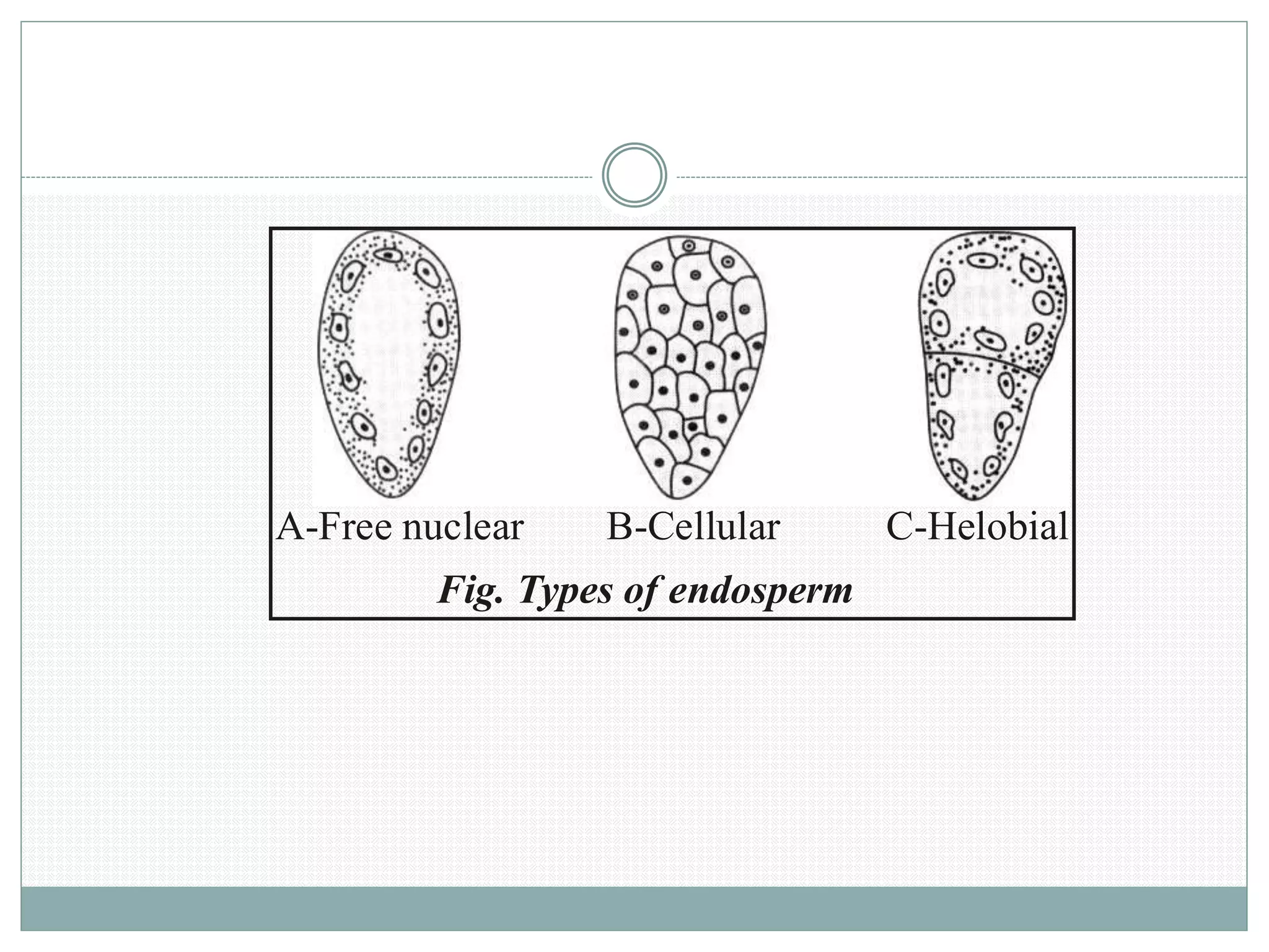 Pollen pistil interaction | PPTX