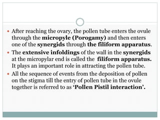 Pollen pistil interaction | PPTX