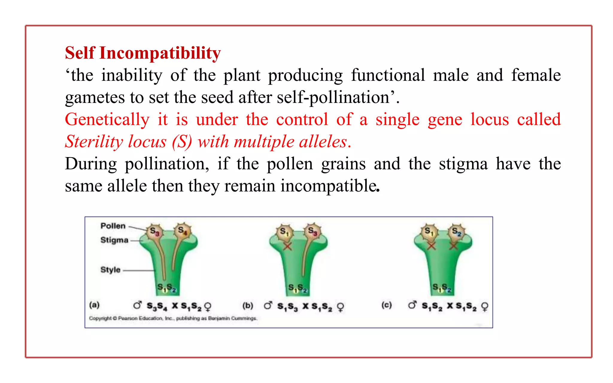 Pollen pistil interaction | PPTX