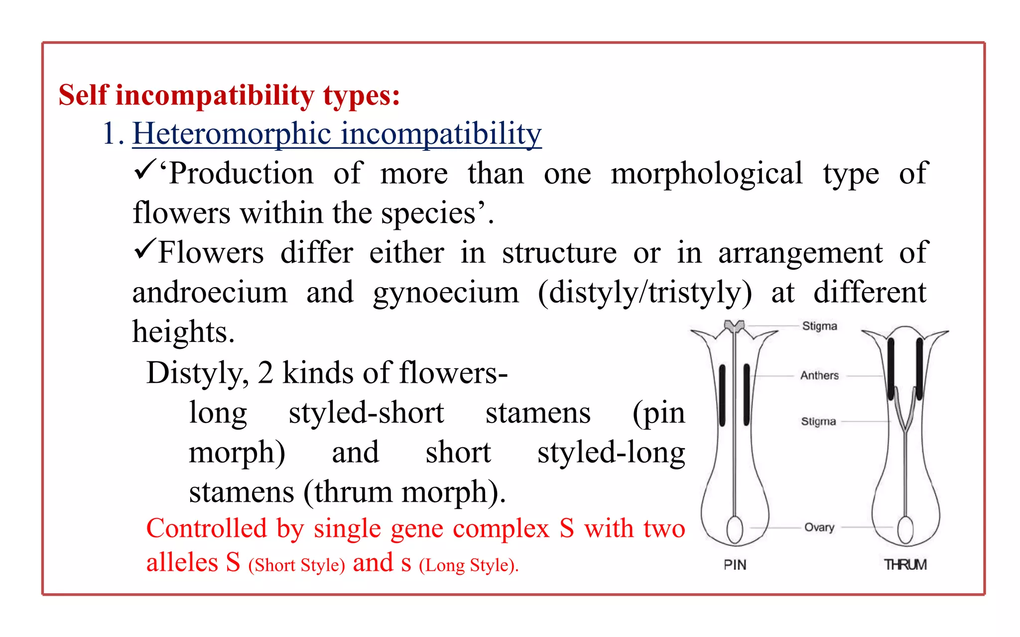 Pollen pistil interaction | PPTX