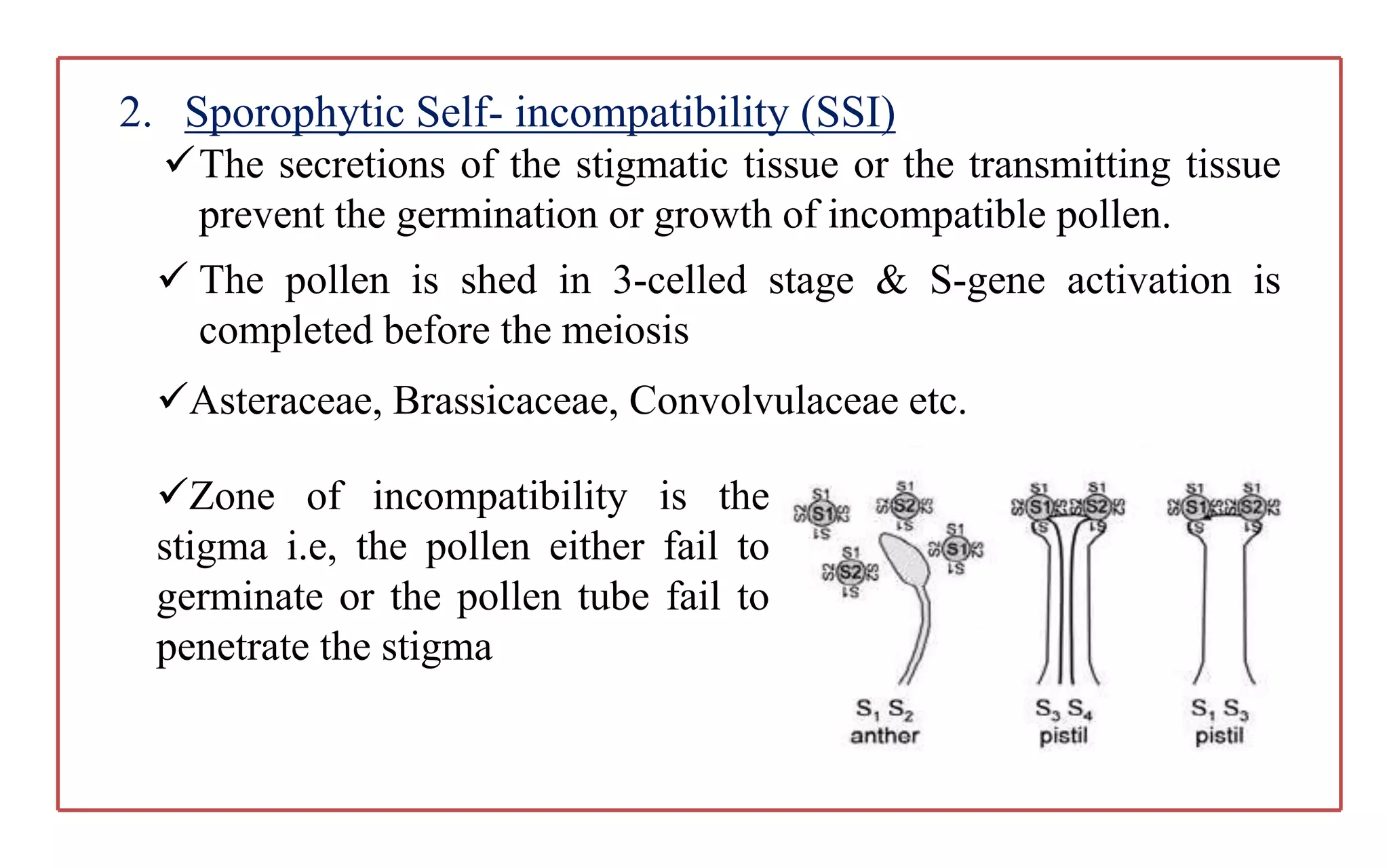 Pollen pistil interaction | PPTX