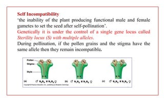 Pollen pistil interaction | PPTX
