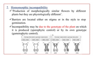 Pollen pistil interaction | PPTX