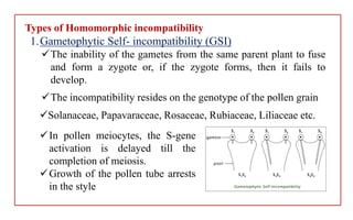 Pollen pistil interaction | PPTX