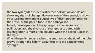 pollen Pistil Interaction and how fertilisation takes place | PPT