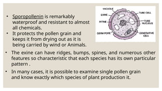 pollen Pistil Interaction and how fertilisation takes place | PPT
