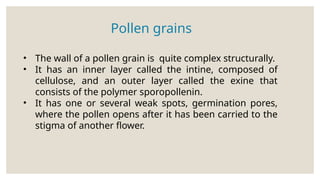 pollen Pistil Interaction and fertilisation | PPT