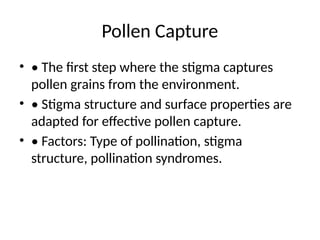 Pollen_Pistil_Interaction_Presentation.pptx