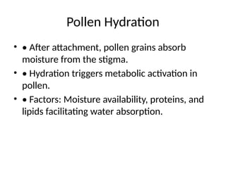 Pollen_Pistil_Interaction_Presentation.pptx