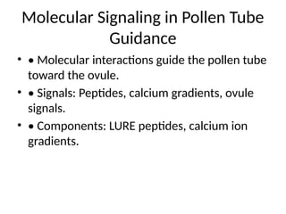 Pollen_Pistil_Interaction_Presentation.pptx