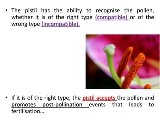 Pollen pistil interaction, Self Compatibility, Pollen grain rejection ...