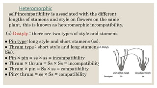 pollen pistill interaction.pptx