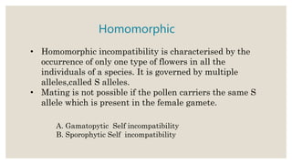 pollen pistill interaction.pptx