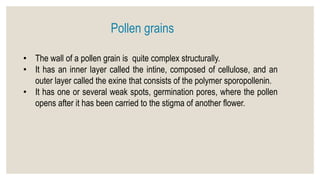 pollen pistill interaction.pptx