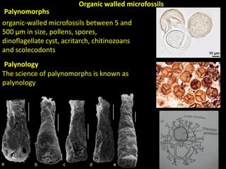 Pollens and spores types classsification | PDF