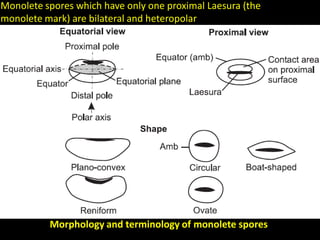 Pollens and spores types classsification | PDF