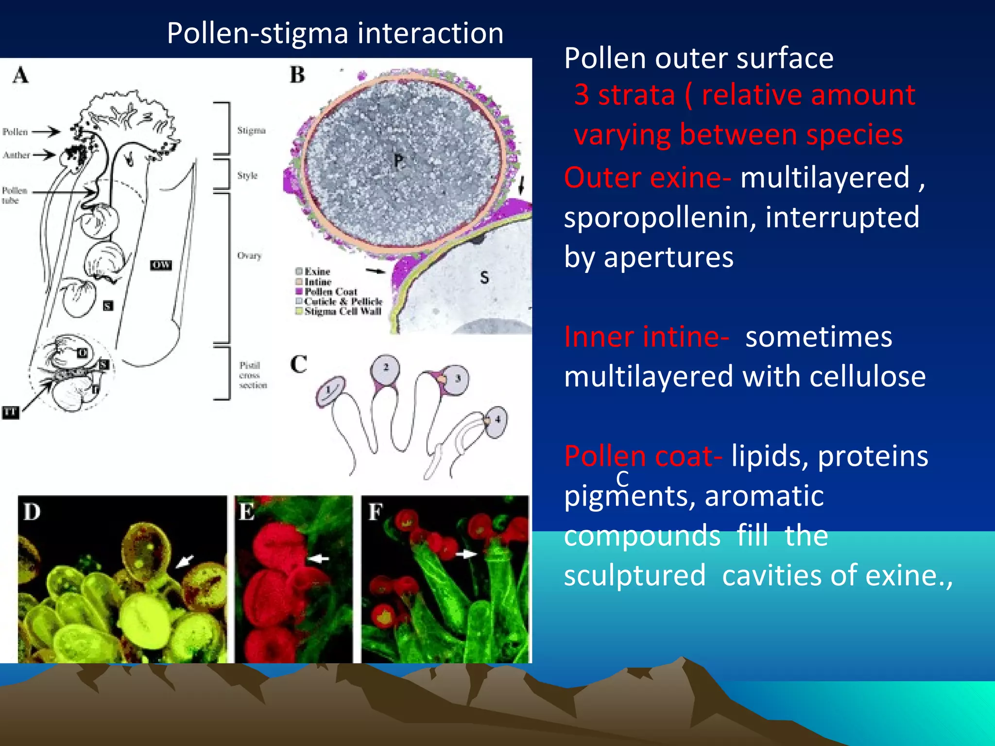 Pollen stigma interaction | PPT