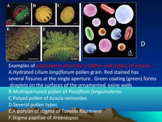 Pollen stigma interaction | PPT