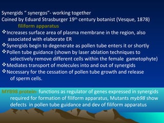 Pollen stigma interaction | PPT