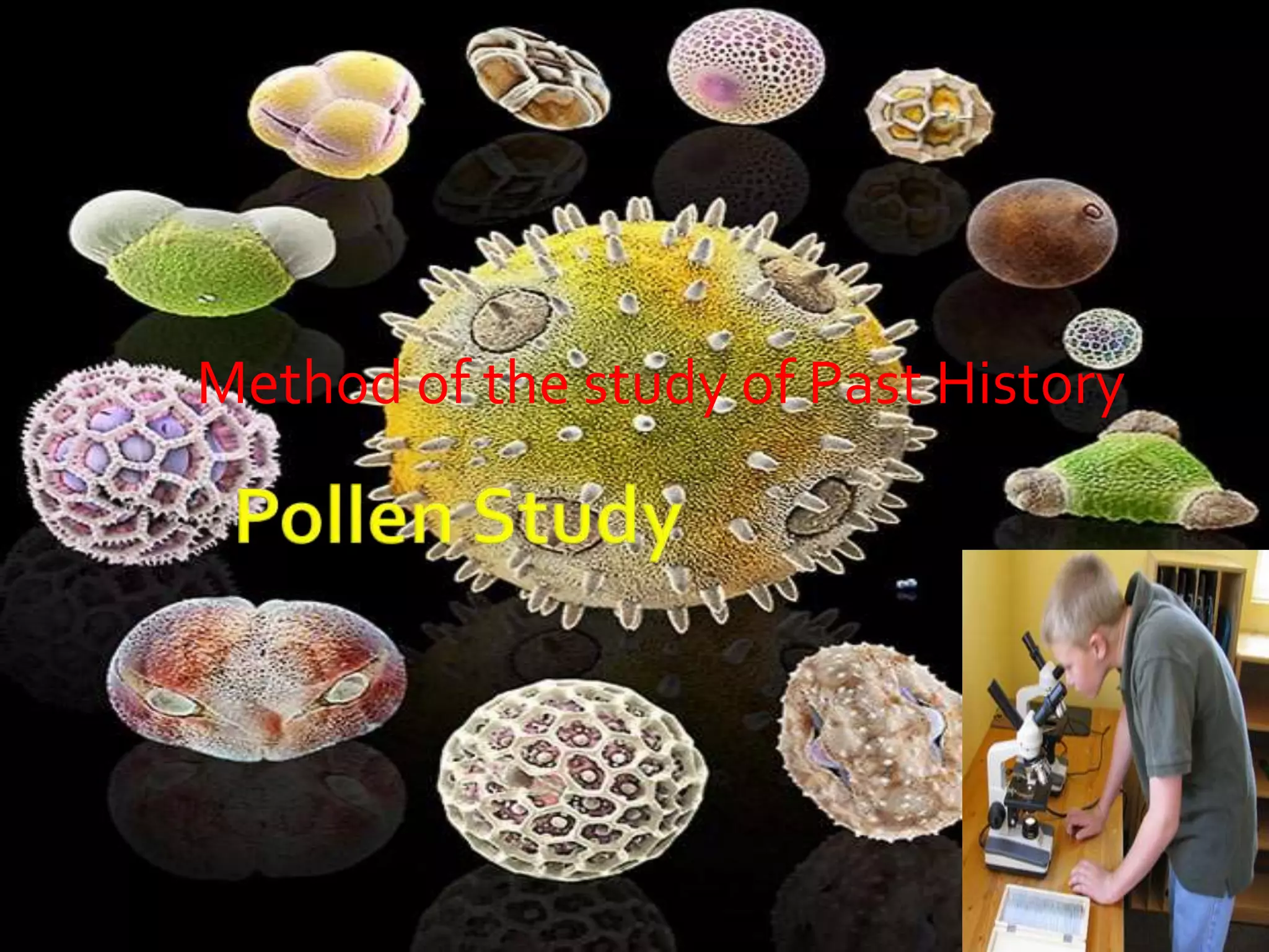 Pollen study-Geomorhology Chapter | PPT