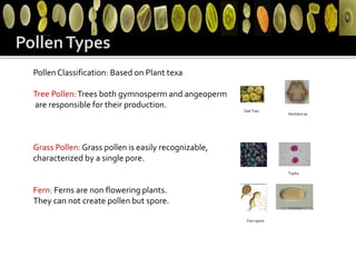 Pollen study-Geomorhology Chapter | PPT