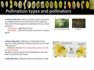 Pollen study-Geomorhology Chapter | PPT
