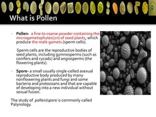 Pollen study-Geomorhology Chapter | PPT